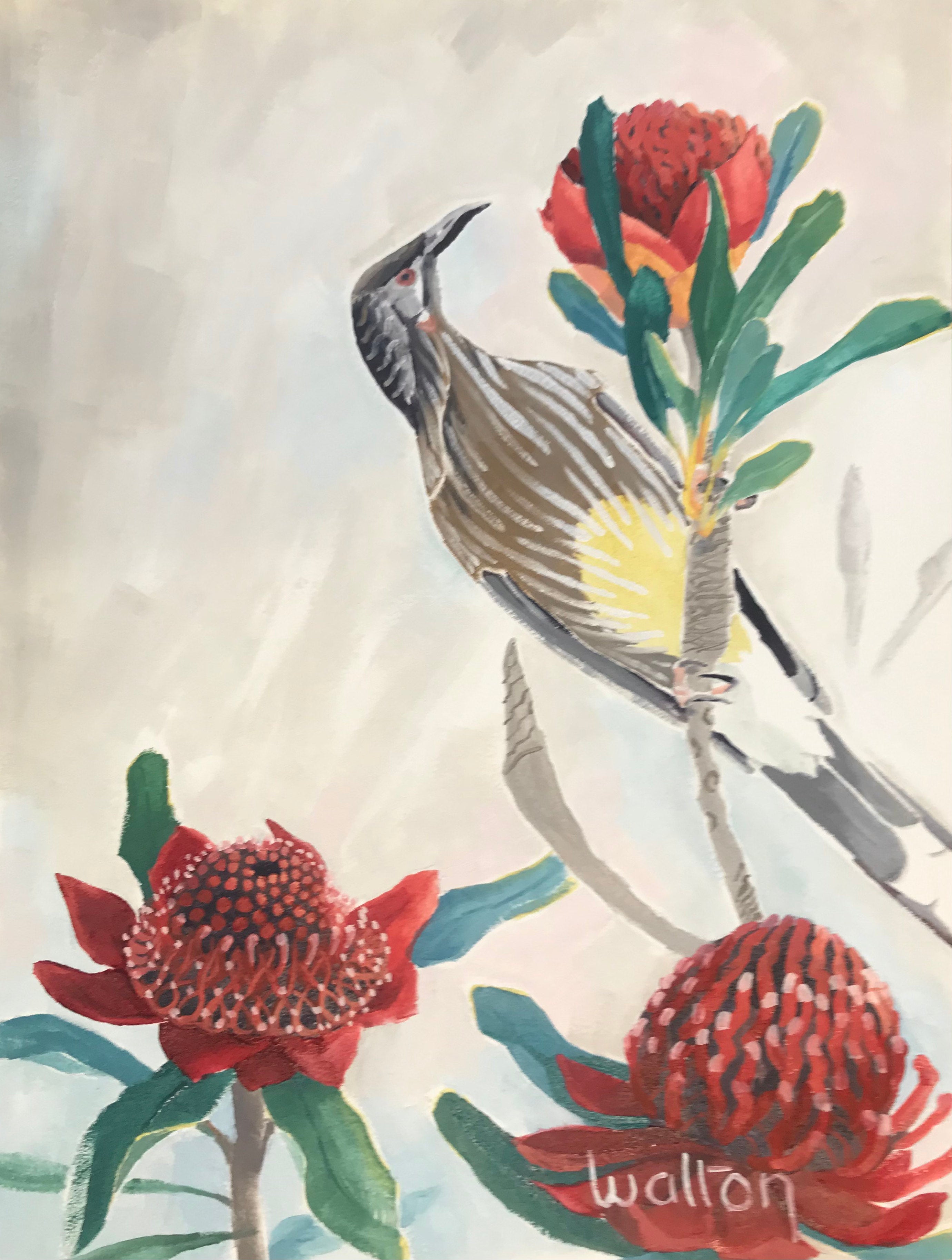 Red wattle bird with Red Waratah Australian wildflowers oil painting ...